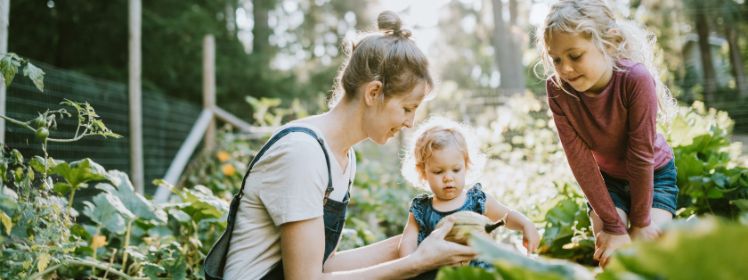 AckerRacker – wie Kinder Gemüse lieben lernen I Mobil Krankenkasse